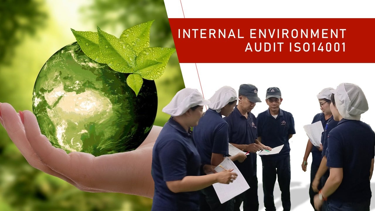 Internal Environment Audit. 2024 - Kawaguchi